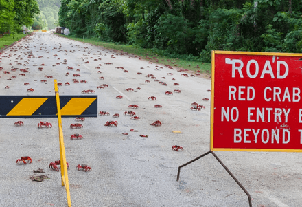 Itineraries | Christmas Island National Park | Parks Australia