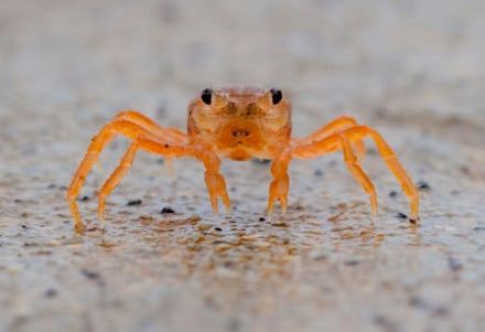 Geology | Christmas Island National Park | Parks Australia