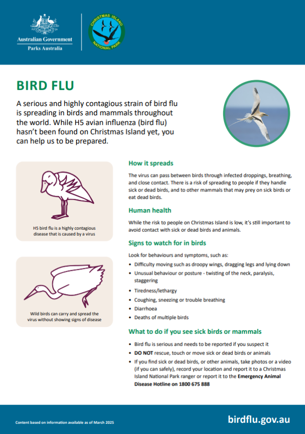 Bird flu | Christmas Island National Park | Parks Australia