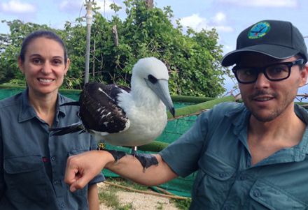 Geology | Christmas Island National Park | Parks Australia